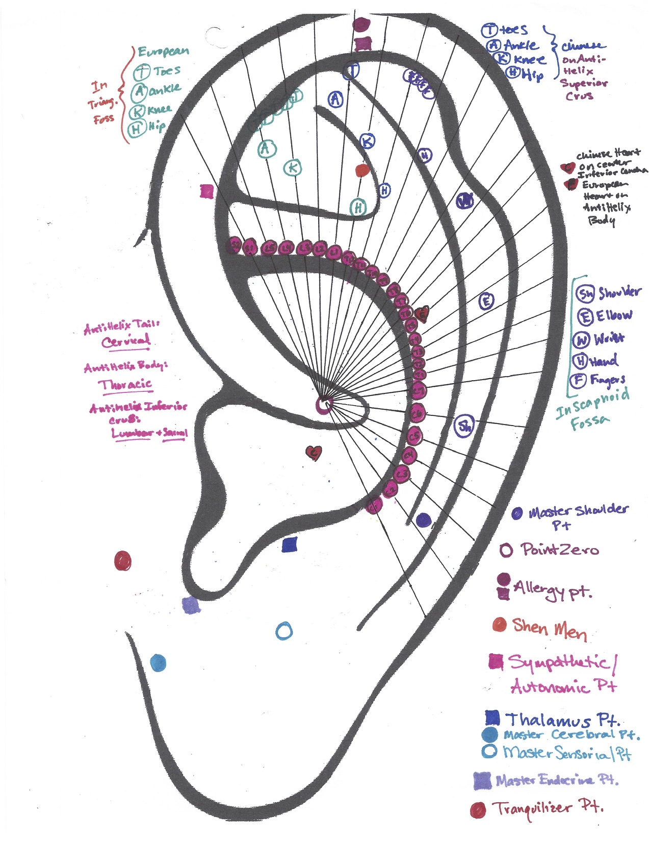 Therapies - Allen Acupuncture and Wellness
